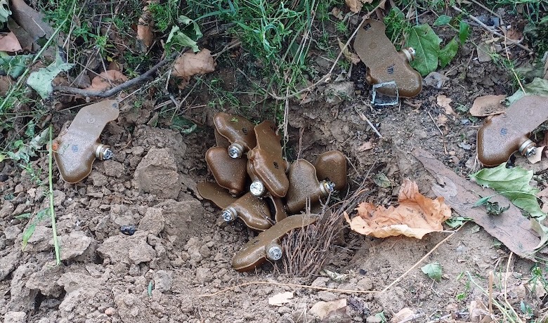 The Disarmament Treaties Prohibiting Anti-Personnel Mines and Cluster ...